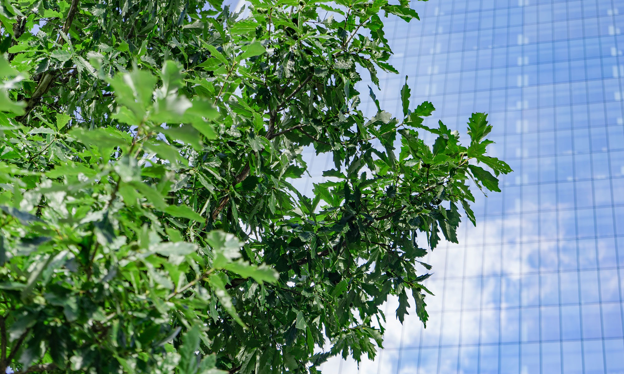 PSDS Funding Interview with Steve Baggs - LASER Energy