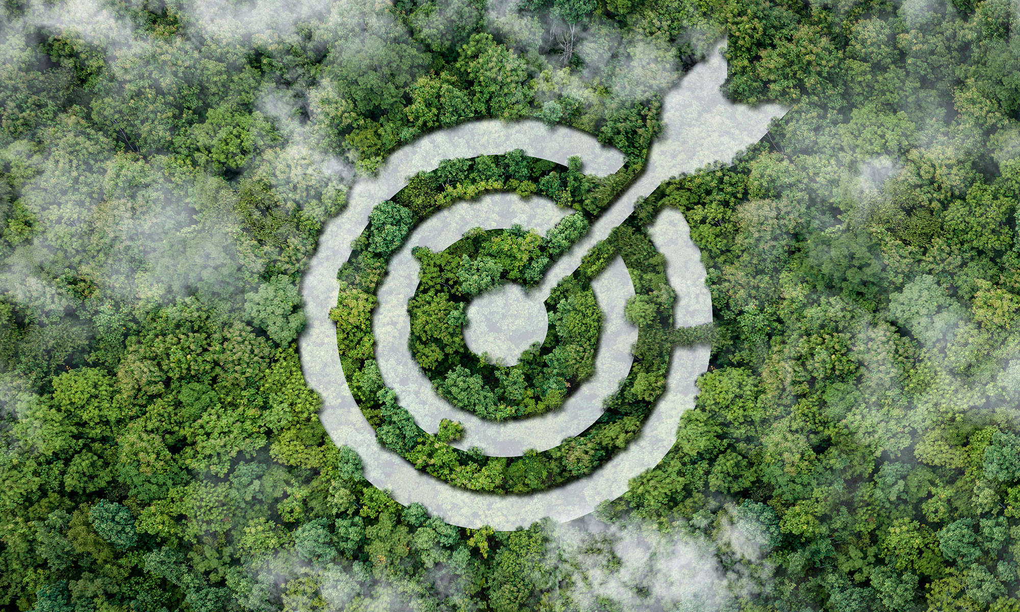 Maximising the benefits of Renewable Assets - LASER Energy